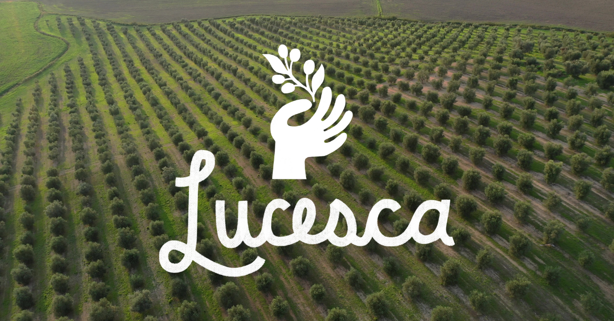 Lucesca | Family owned olive oil ‘fatto in casa’